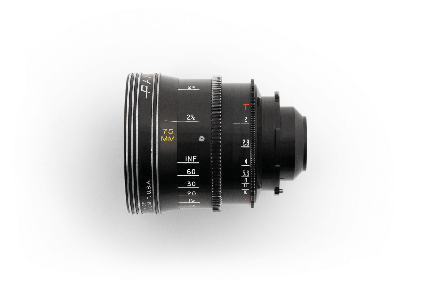 Standard Primes